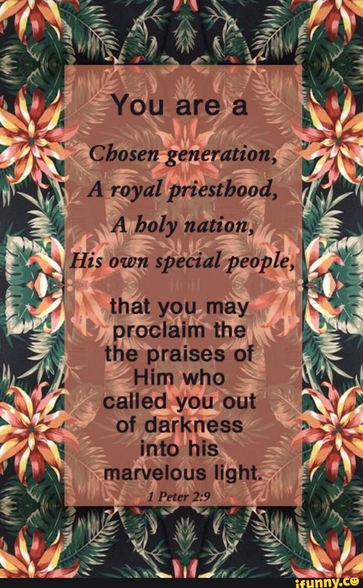 You area Chosen generation, A royal priesthood, A holy nation, His own ...