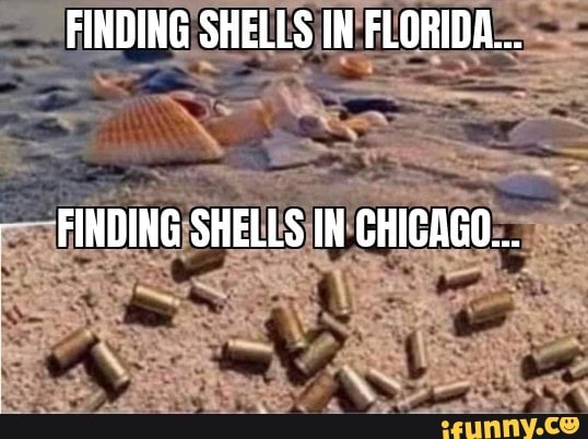FINDING SHELLS IN FLORIDA... FINDING SHELLS IN CHICAGO... - iFunny