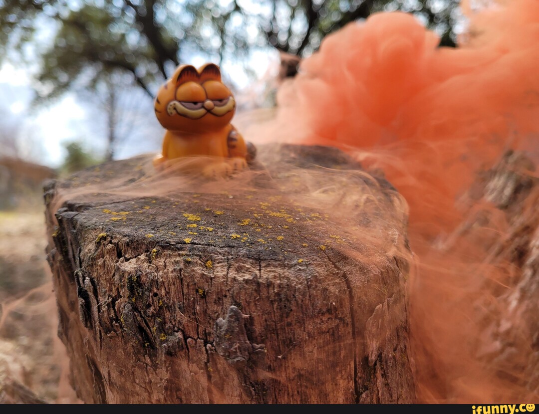 Picture memes umhkxDdCA by mr_tronfield - iFunny