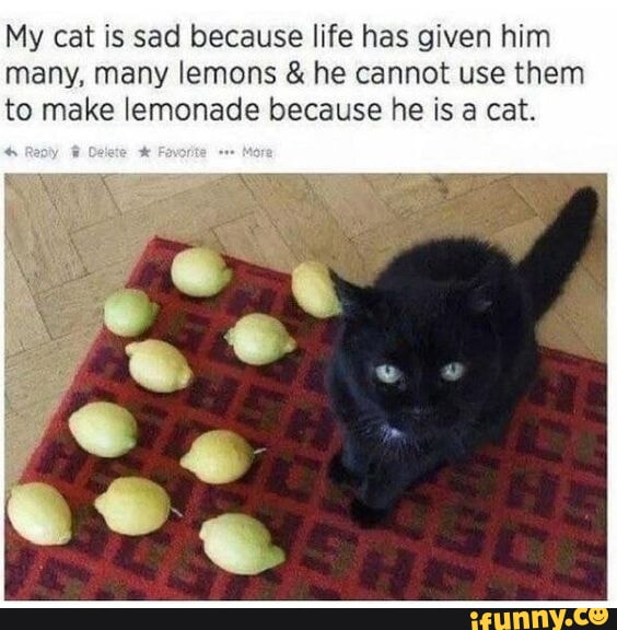 Lemonade memes. Best Collection of funny Lemonade pictures on iFunny