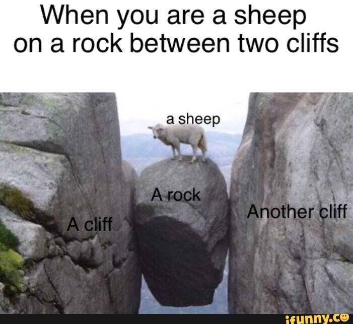 When you are a sheep on a rock between two cliffs - iFunny