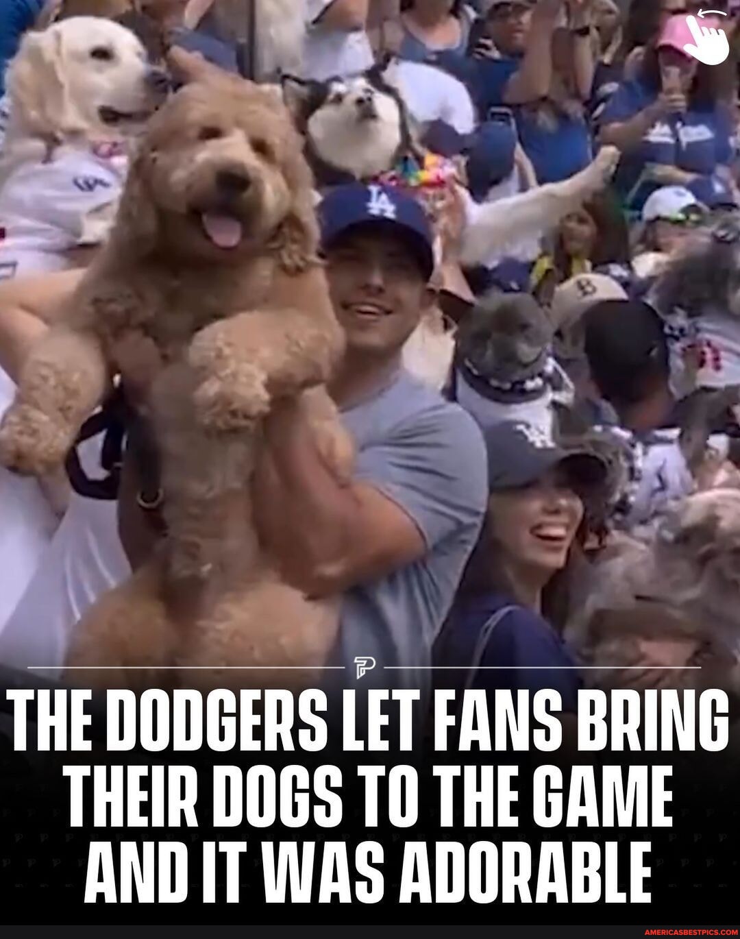 Swipe to see adorable footage of Dodgers Pups in the Park day in which ...