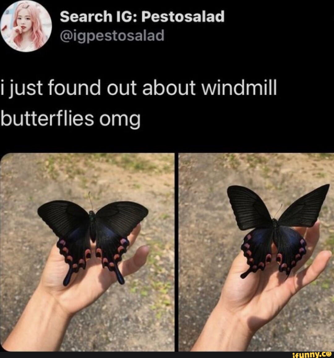 Windmill memes. Best Collection of funny Windmill pictures on iFunny