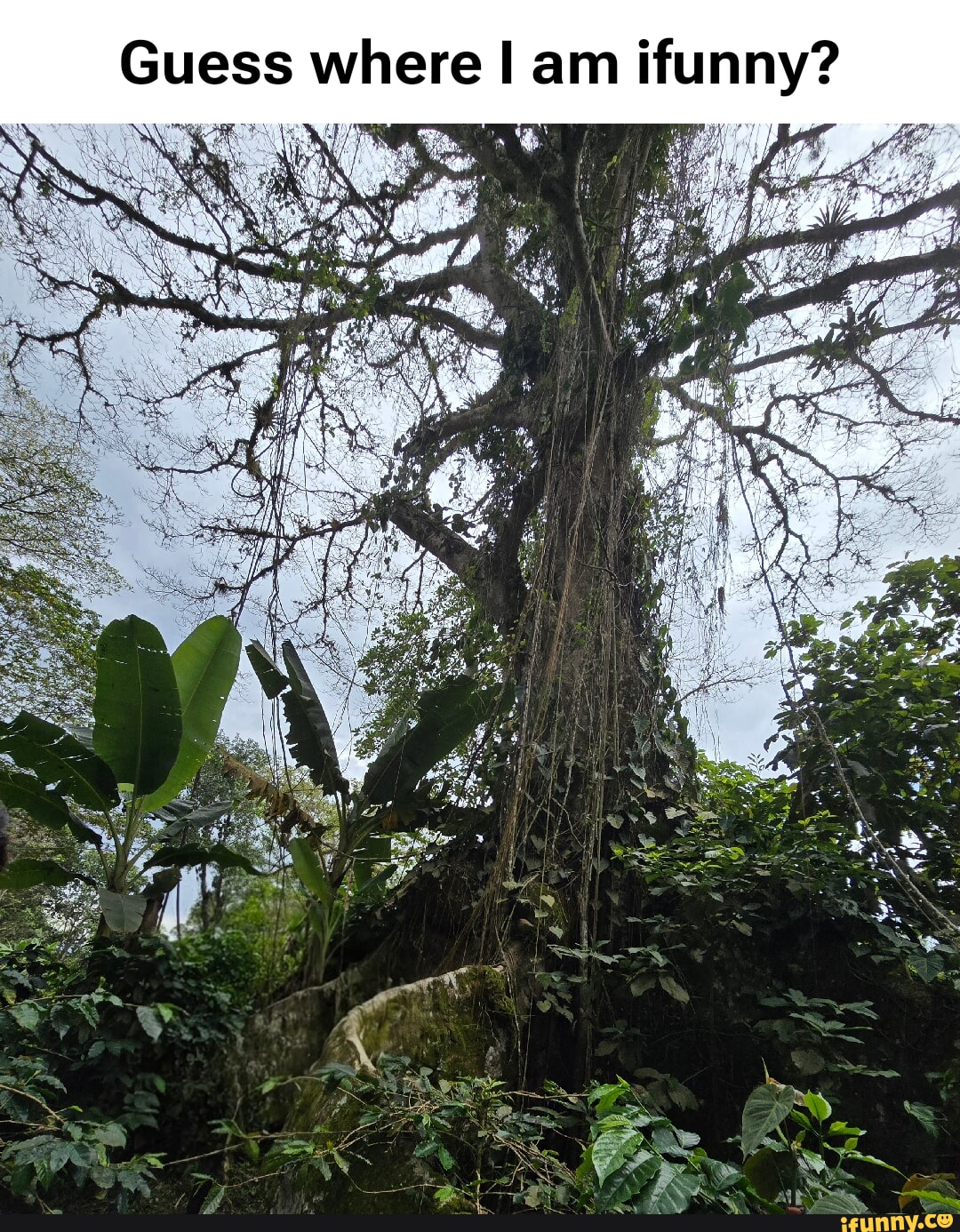 Geoguesser memes. Best Collection of funny Geoguesser pictures on iFunny