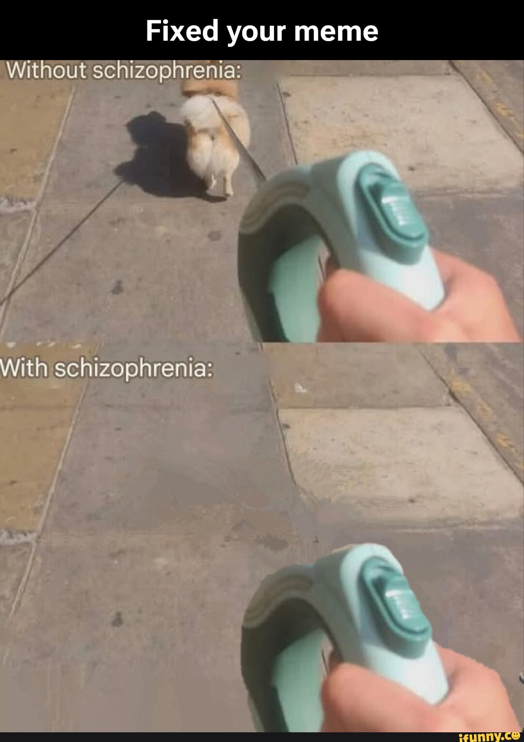 Fixed your meme Without schizophrenia: With schizophrenia: - iFunny