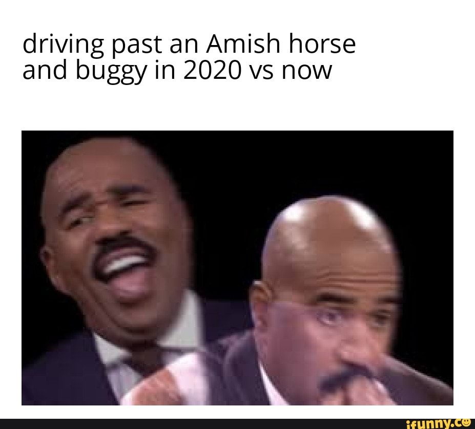 Driving past an Amish horse and buggy in 2020 vs now - iFunny
