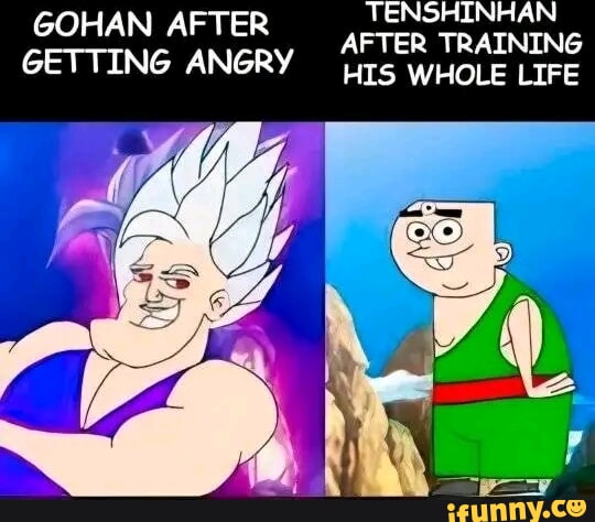 GOHAN AFTER GETTING ANGRY TENSHINHAN AFTER TRAINING HIS WHOLE LIFE - iFunny