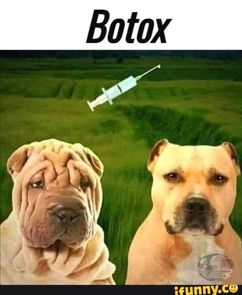 Botox memes. Best Collection of funny Botox pictures on iFunny
