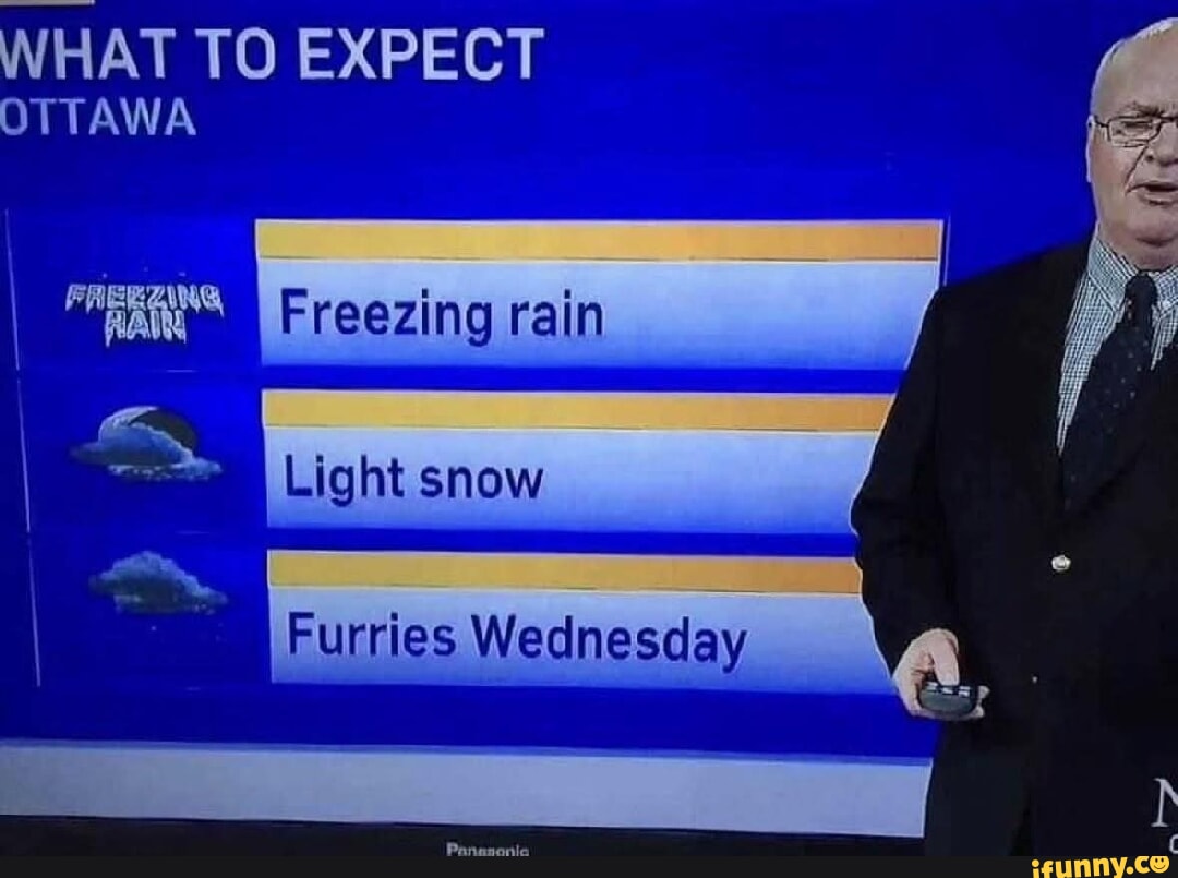 WHAT TO TO EXPECT OTTAWA Freezing rain Light snow Furries Wednesday ...