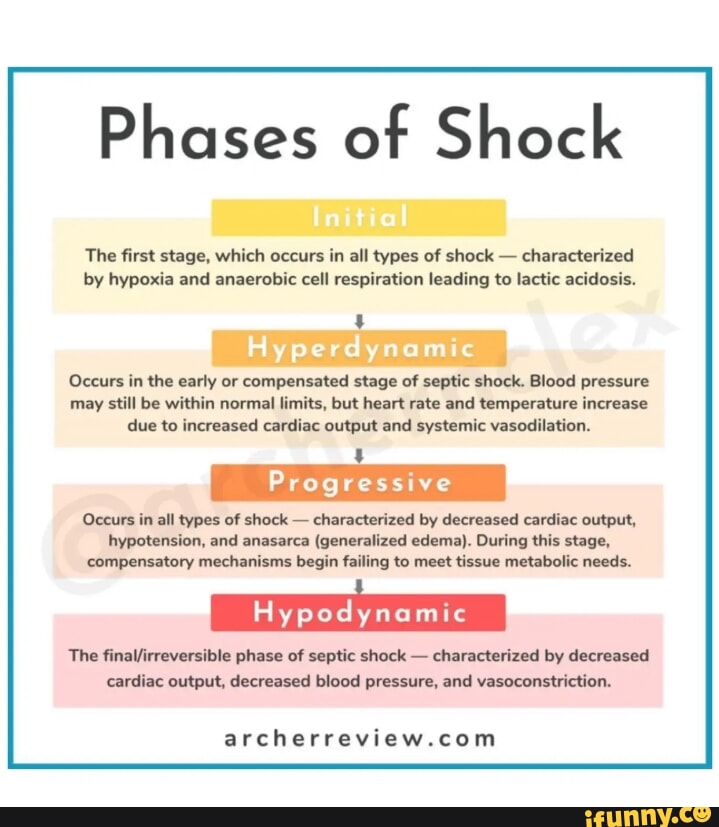 Respiration memes. Best Collection of funny Respiration pictures on iFunny