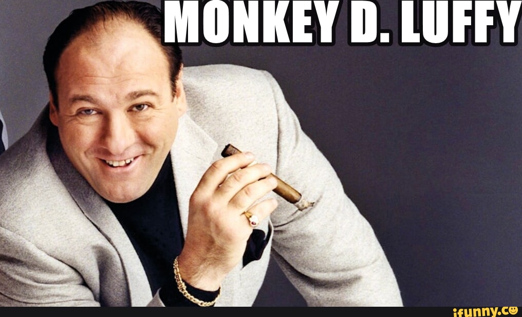 Luffy memes. Best Collection of funny Luffy pictures on iFunny