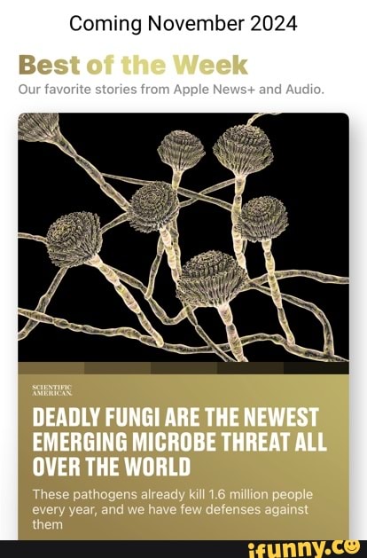 Microbe memes. Best Collection of funny Microbe pictures on iFunny