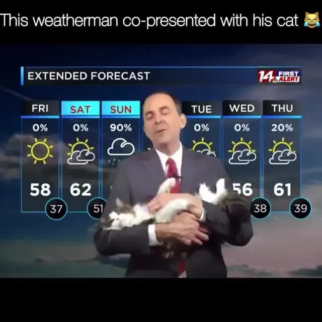 This weatherman co-presented with his cat - )