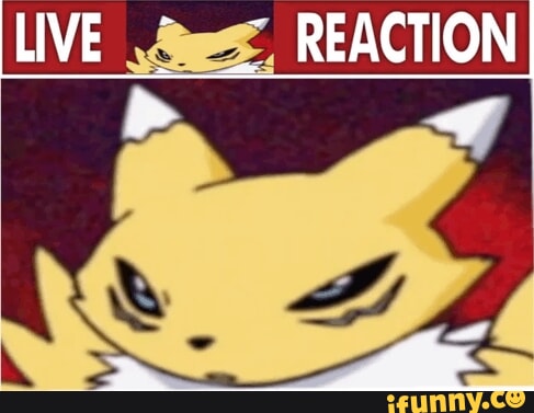 Renamon memes. Best Collection of funny Renamon pictures on iFunny