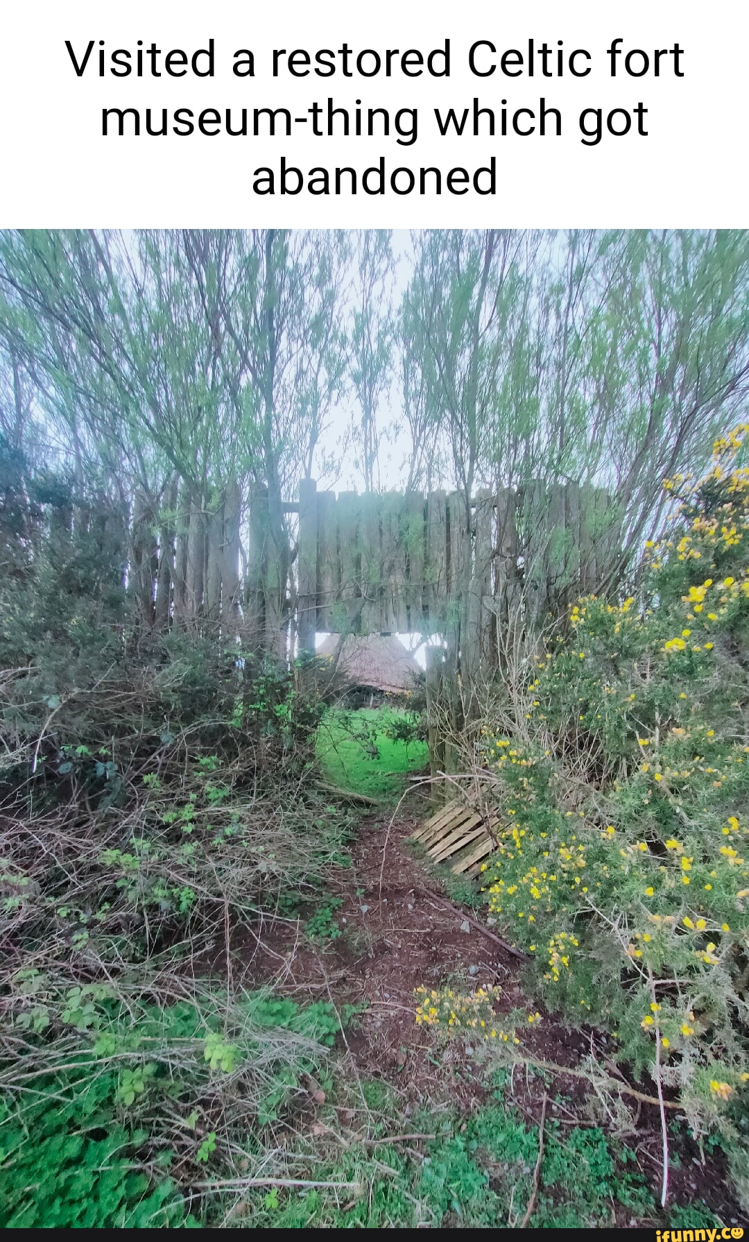 Celtic memes. Best Collection of funny Celtic pictures on iFunny