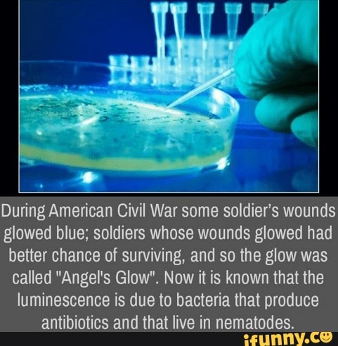 During American Civil War some soldier's wounds glowed blue; soldiers ...