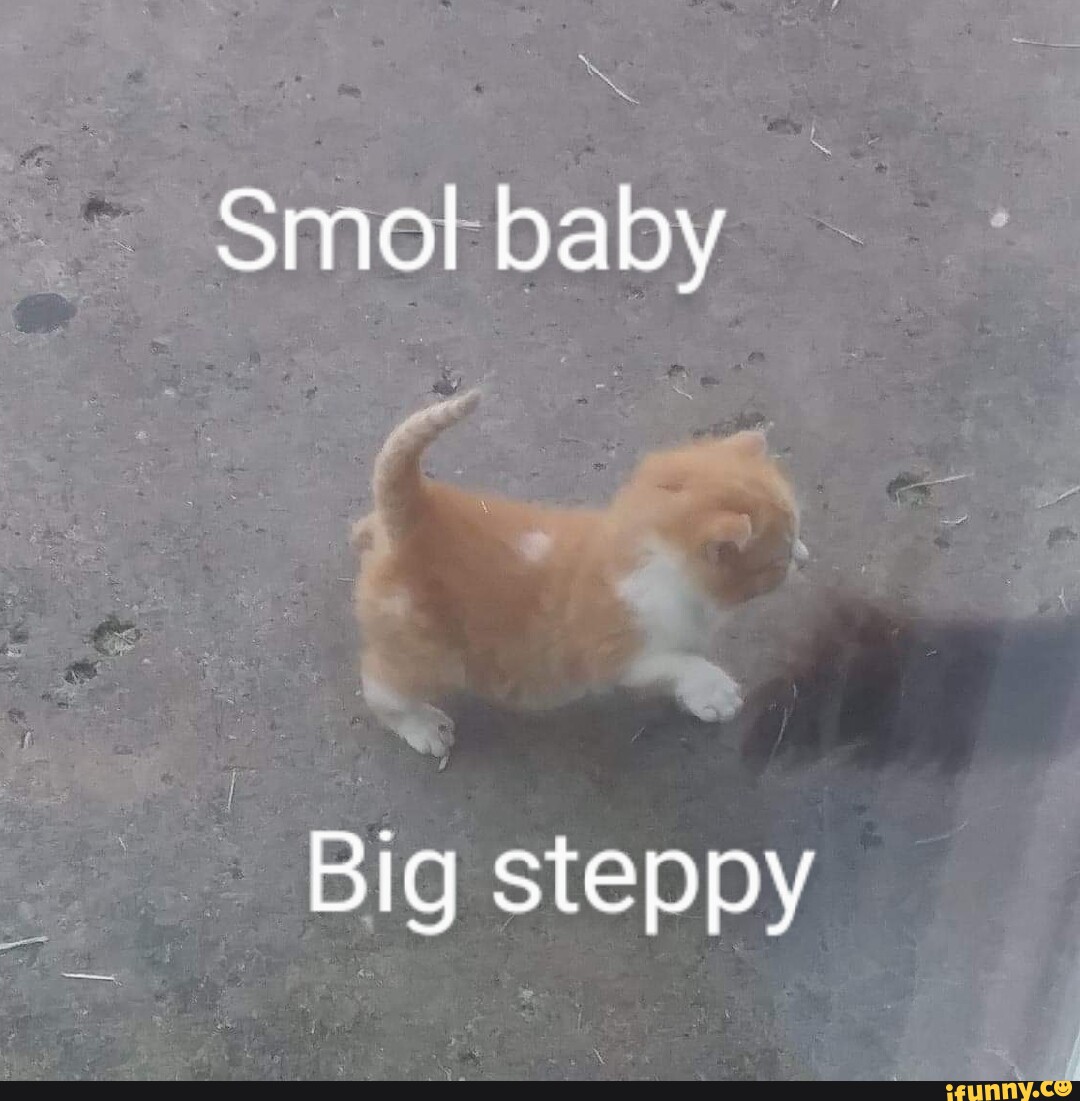 Steppy memes. Best Collection of funny Steppy pictures on iFunny