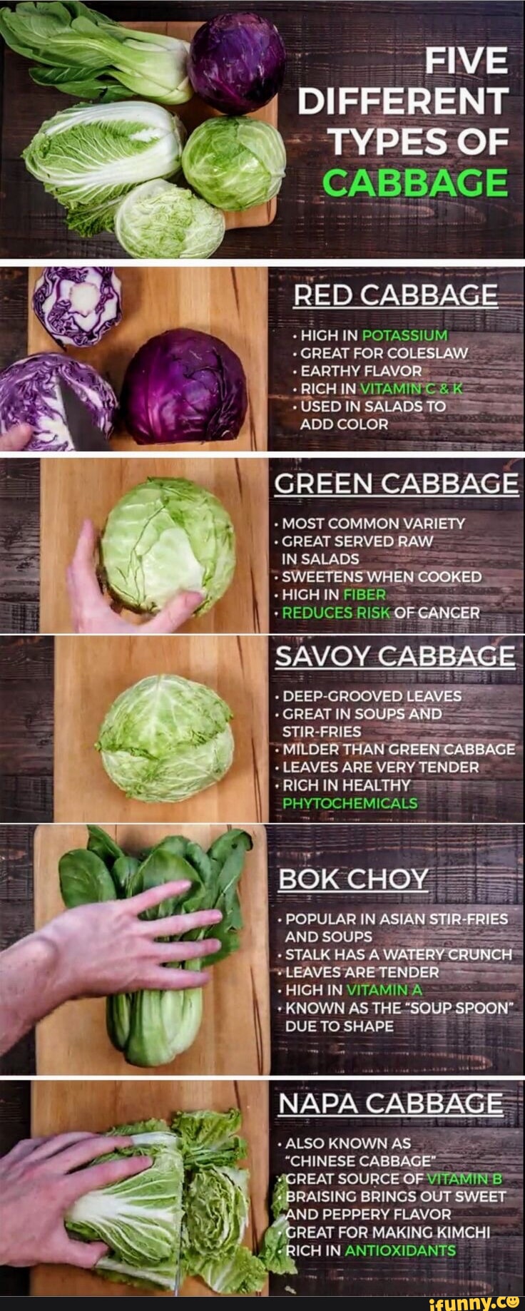 Funny Cabbage Memes