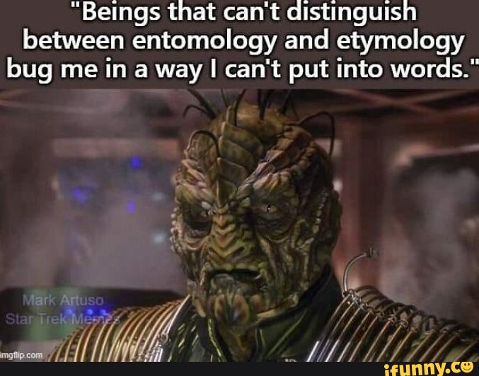Beings that can't distinguish between entomology and etymology bug me ...