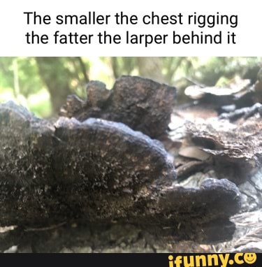 The smaller the chest rigging the fatter the larper behind it - iFunny