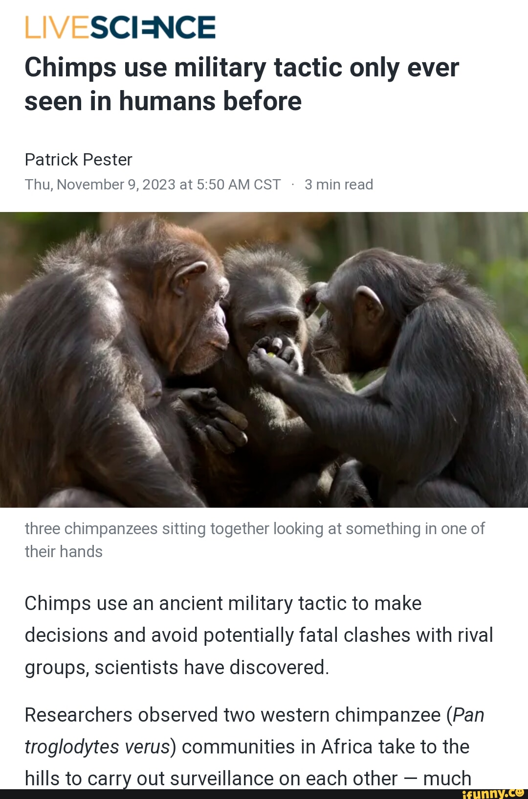 SGIENCE Chimps use military tactic only ever seen in humans before ...