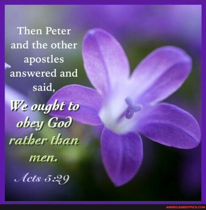 Then Peter and the other apostles answered and said, We ought to obey ...