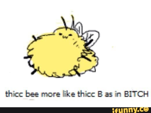 Thicc bee more ﬁke thicc B as in BITCH - iFunny