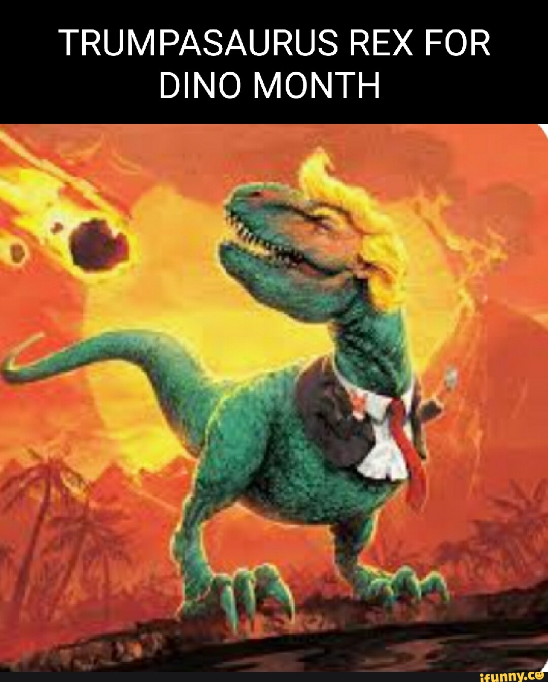 Kirk S. Purvis Gisteren om 15:12 O Meanwhile... the tulip fields of The ...