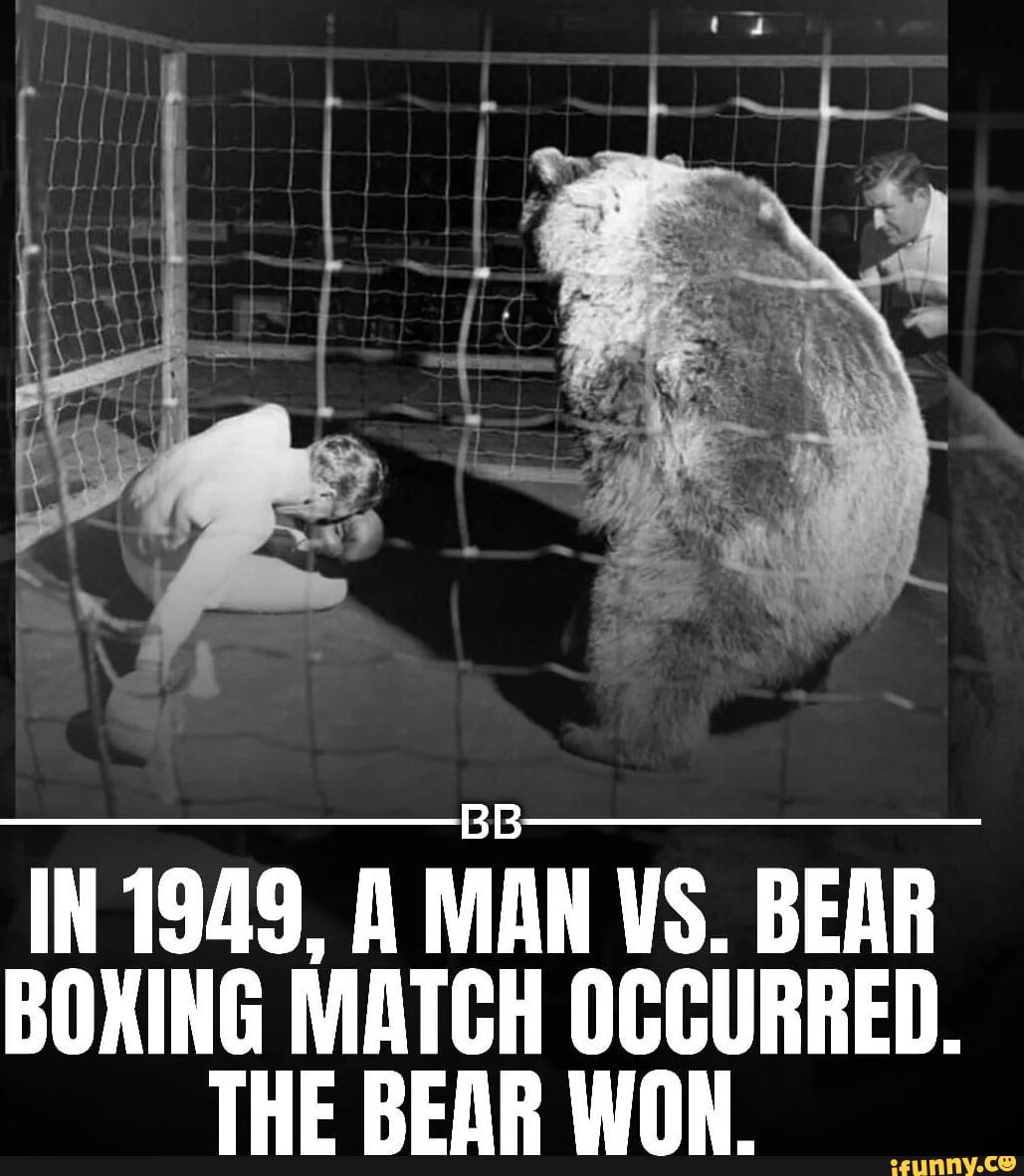 IN 1949, MAN VS. BEAR BOXING MATCH OCCURRED. THE BEAR WON. - iFunny