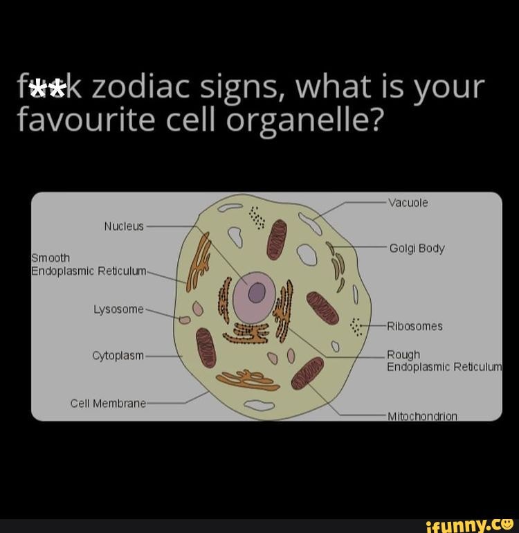 Lysosome memes. Best Collection of funny Lysosome pictures on iFunny
