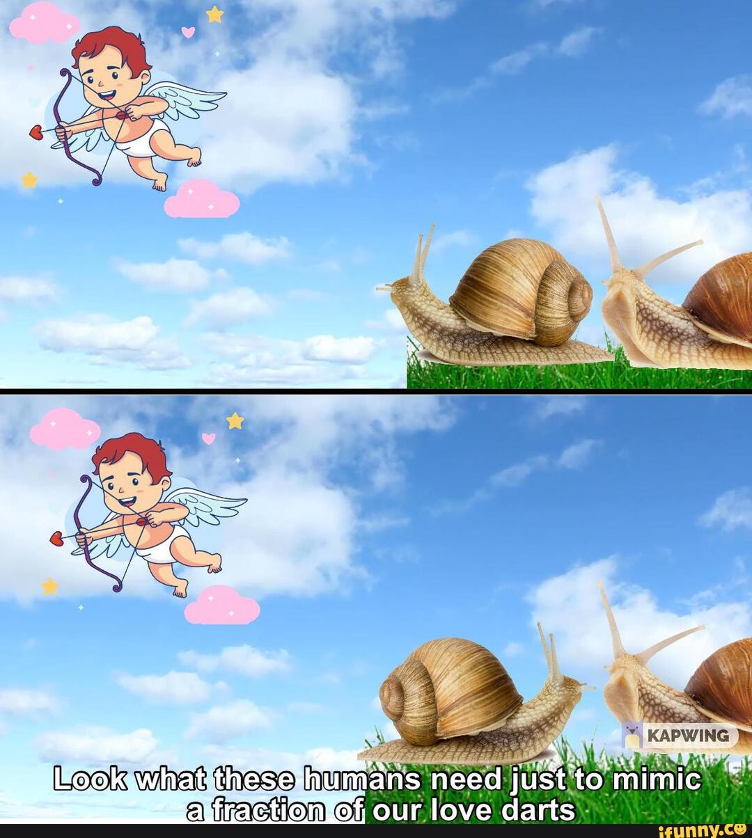 Mimi memes. Best Collection of funny Mimi pictures on iFunny