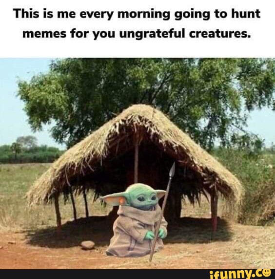 This is me every morning going to hunt memes for you ungrateful ...