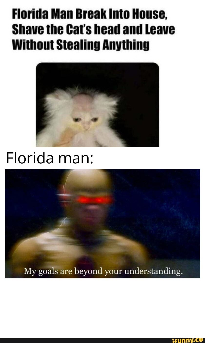 Florida Man Break Into House, Shave the Cat's head and Leave Without ...