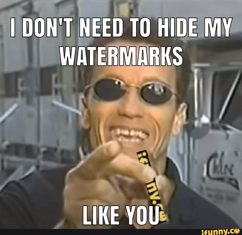 I DON T NEED TO HIDE MY WATERMARKS LIKE YOU IFunny