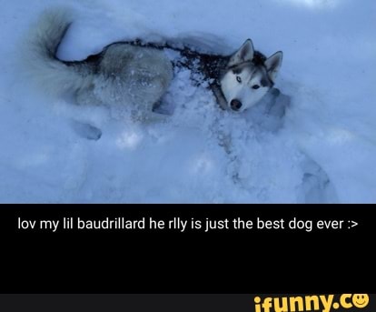 Baudrillard memes. Best Collection of funny Baudrillard pictures on iFunny