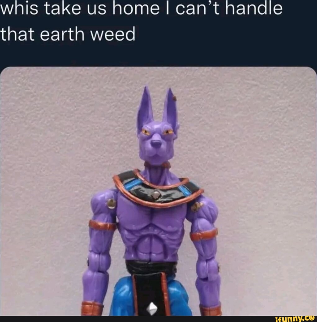Whis memes. Best Collection of funny Whis pictures on iFunny