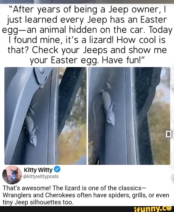 Joop memes. Best Collection of funny Joop pictures on iFunny