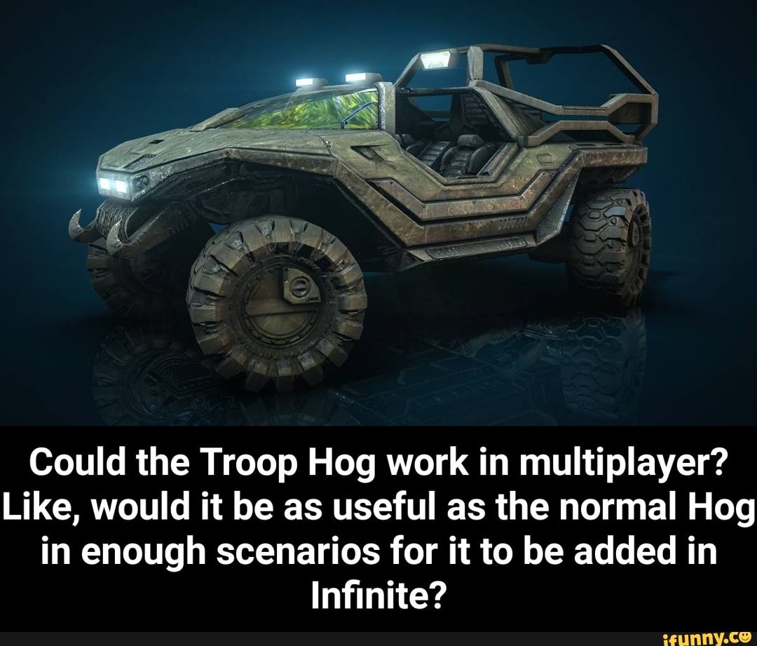 Could the Troop Hog work in multiplayer? Like, would it be as useful as ...