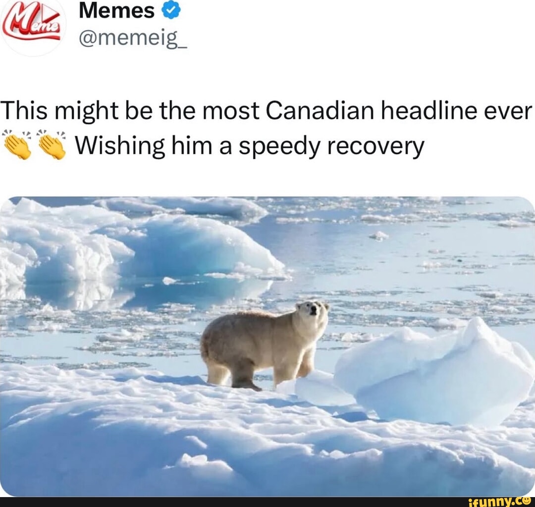 Ls, Memes @ This might be the most Canadian headline ever Wishing him a ...