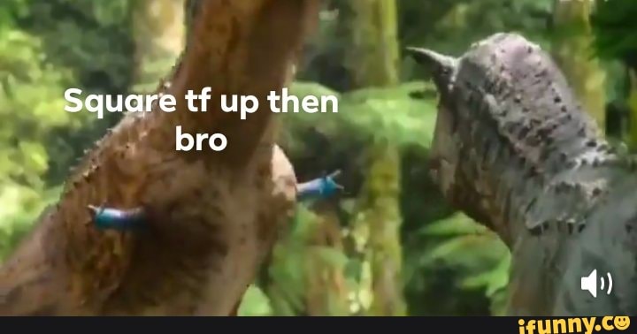 Square tf up then bro - iFunny