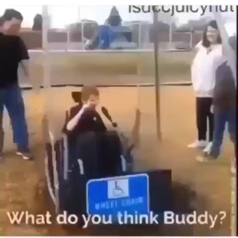 What do you think Buddy? - )