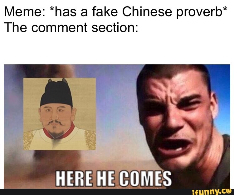 Mmm, yes, very wise - Meme: *has a fake Chinese proverb* The comment ...