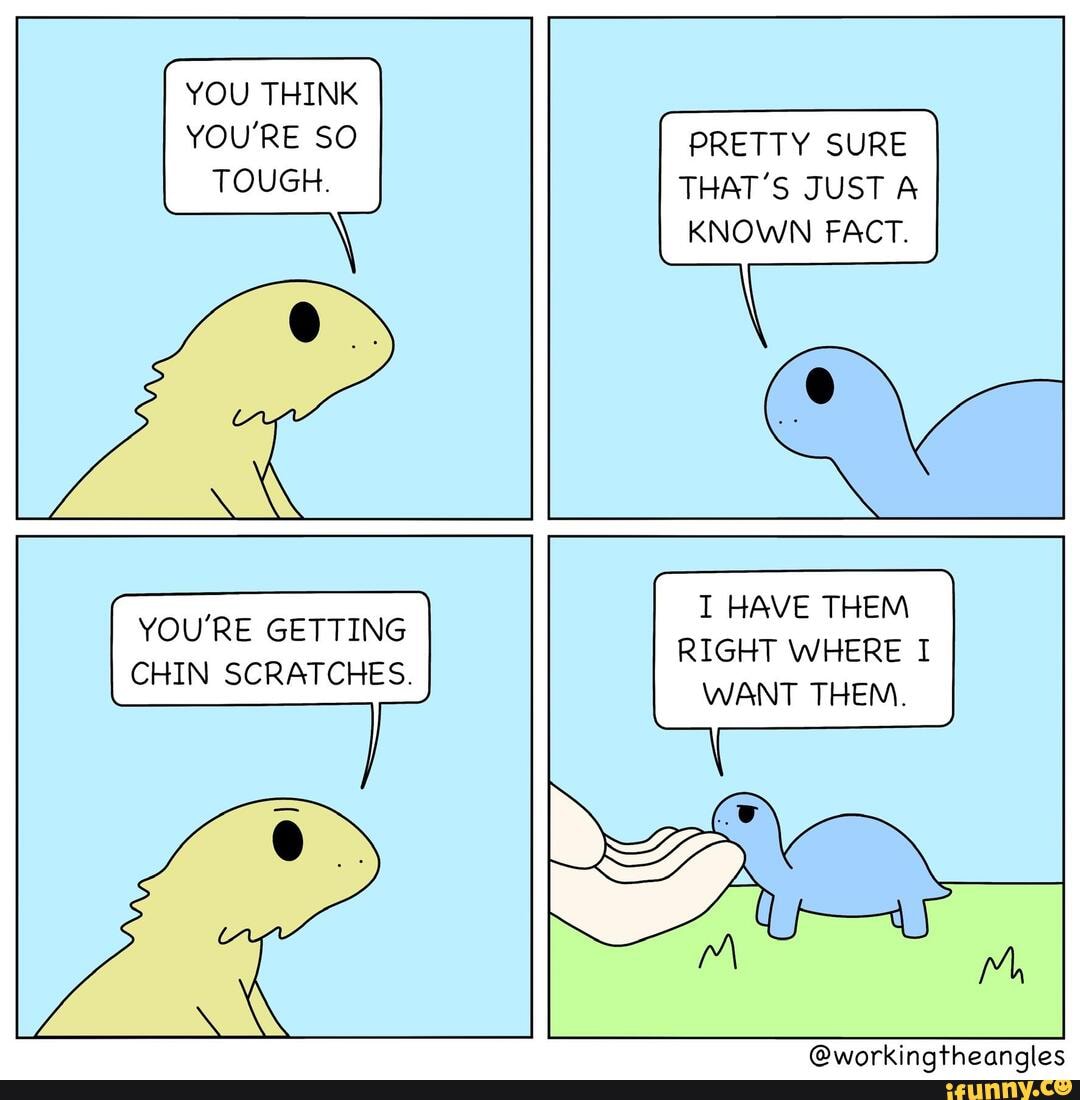 YOU THINK YOU'RE SO TOUGH. YOU'RE GETTING CHIN SCRATCHES. PRETTY SURE ...