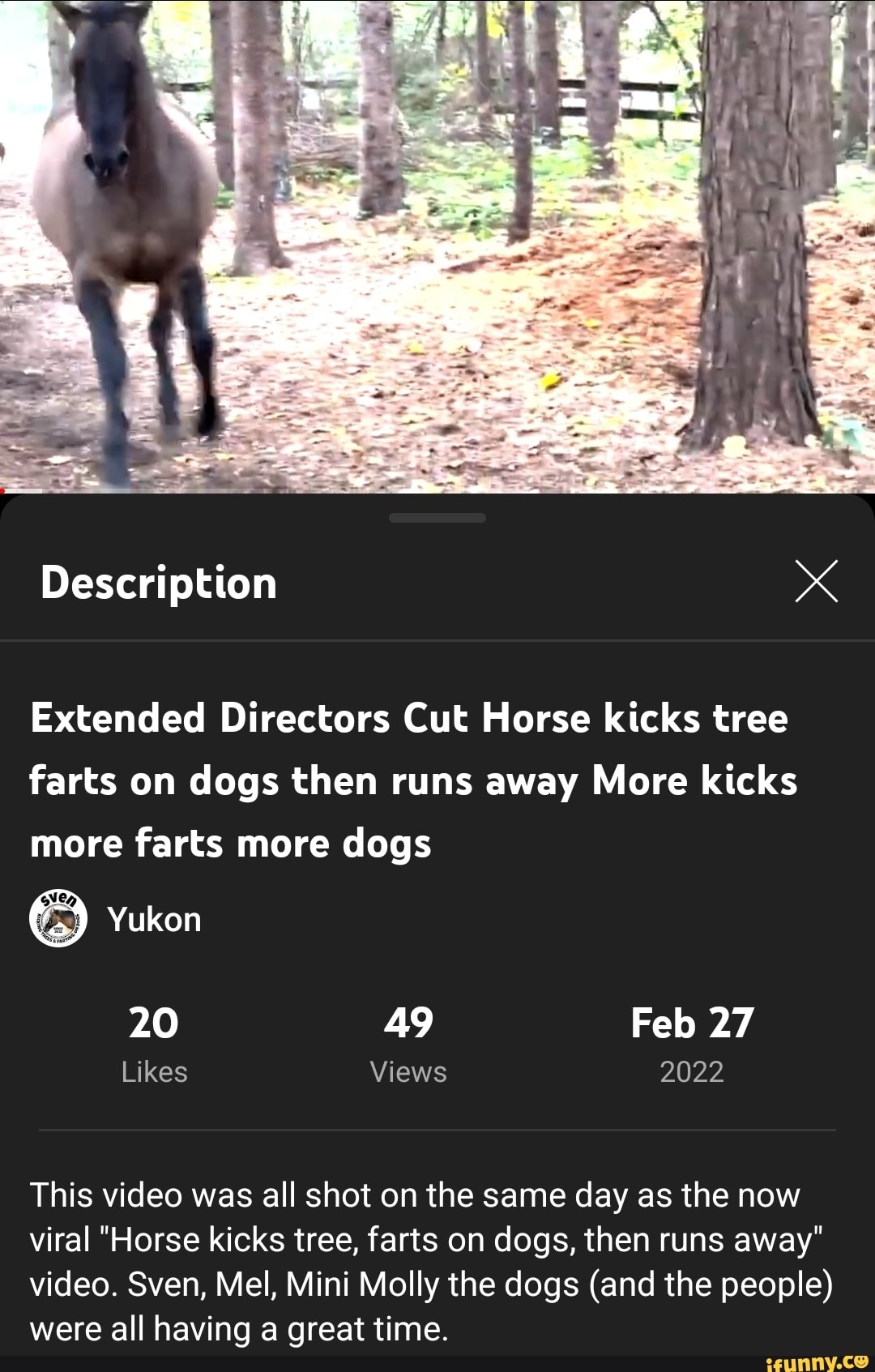 Description Extended Directors Cut Horse kicks tree farts on dogs then ...