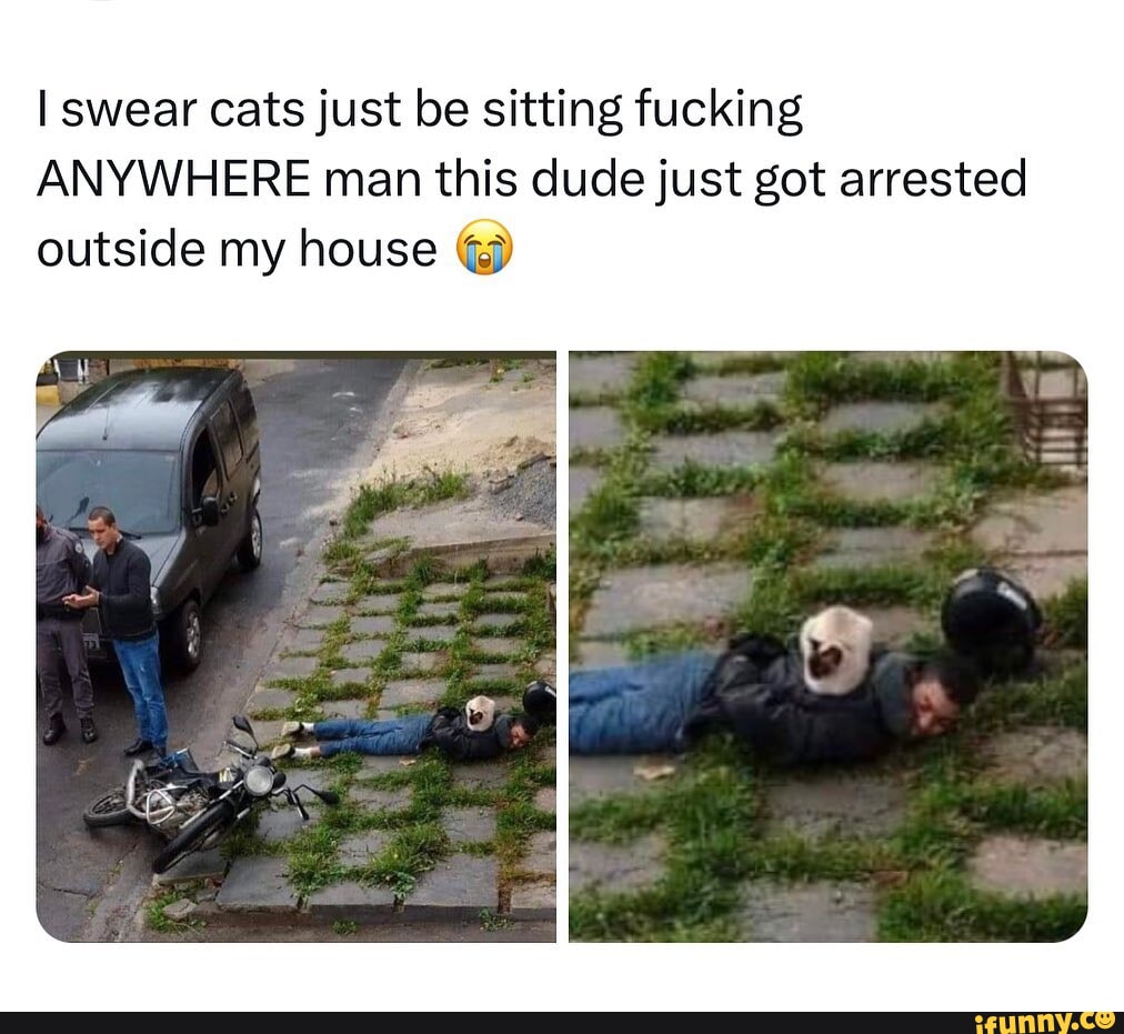 Hes clearly part of the Police force memes explore funny wholesome ...