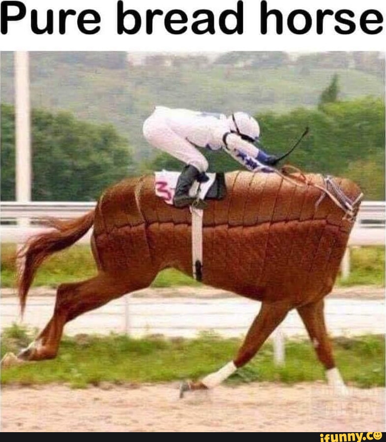 Pure bread horse - iFunny