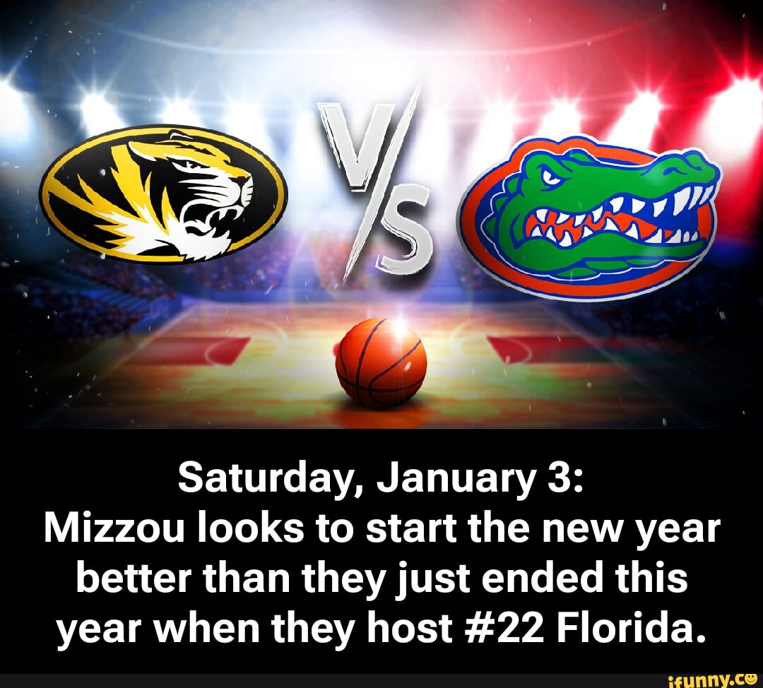 Gators memes. Best Collection of funny Gators pictures on iFunny