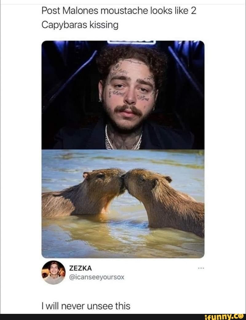 Zezka memes. Best Collection of funny Zezka pictures on iFunny