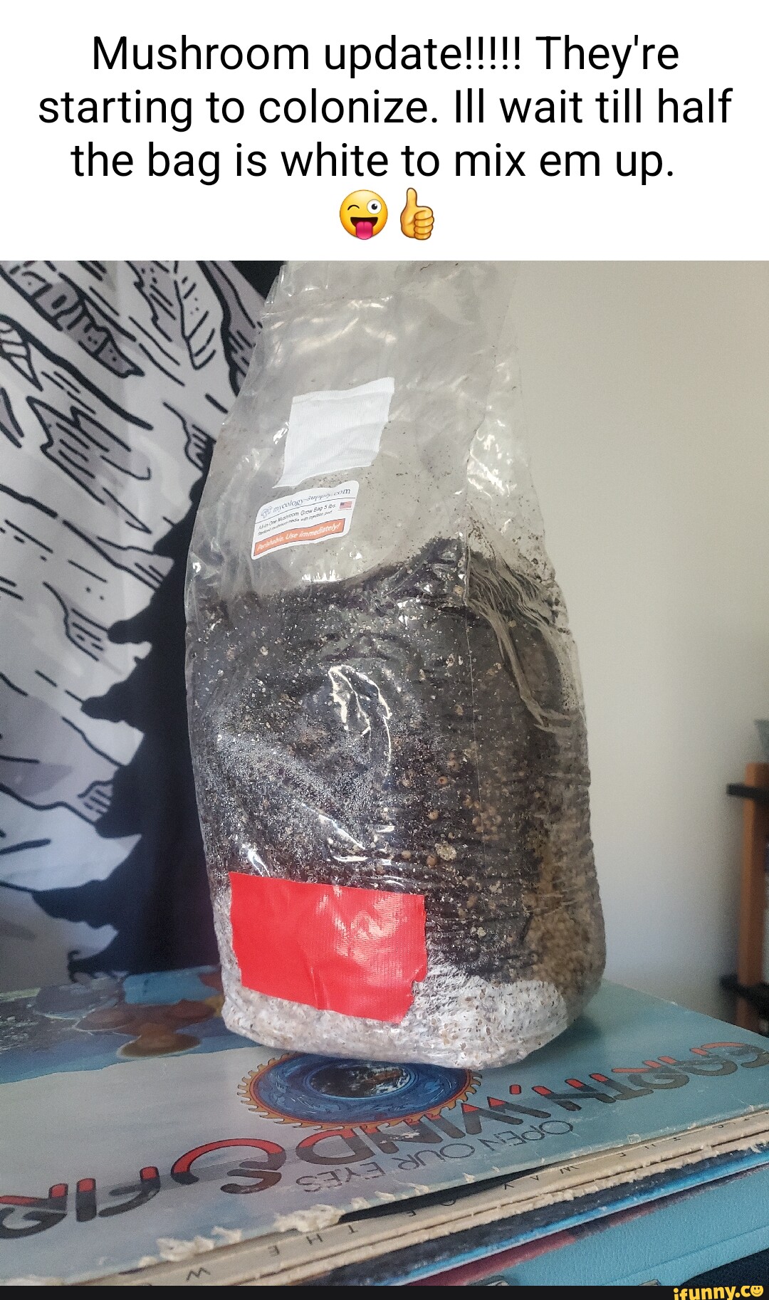 Magicmushroom memes. Best Collection of funny Magicmushroom pictures on ...