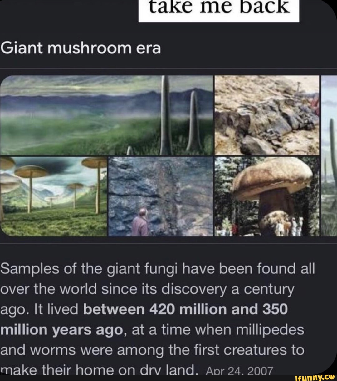 Fungi memes. Best Collection of funny Fungi pictures on iFunny